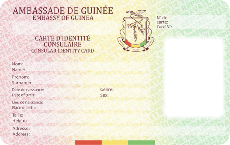 Comment faire mes démarches en ligne ? – Ambassade de la République de ...